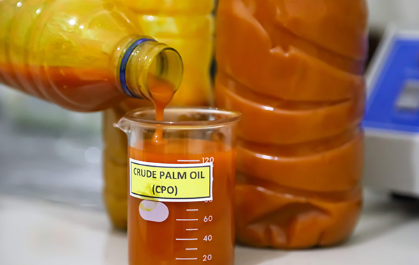 Olivia Impex Pvt. Ltd. - Since 1970